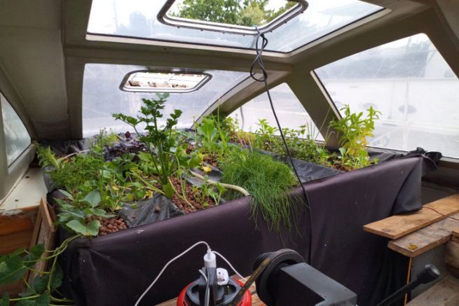 Hydroponie en bateau : Une solution pour les légumes frais à bord