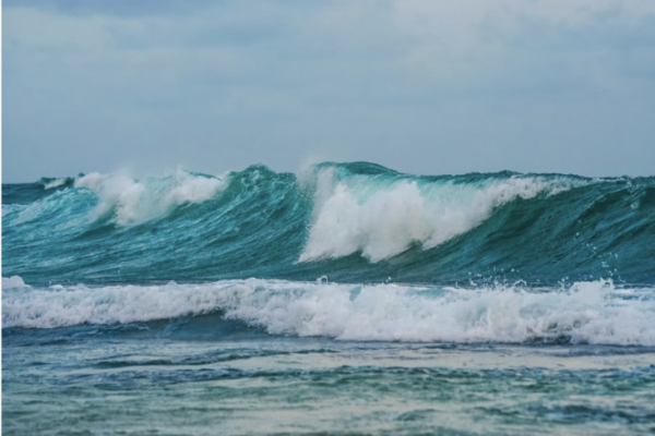 Houle ou vagues ? Quelles différences en mer et comment les reconnaître