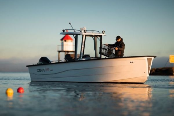 Sting 725 Pro T-Top : un timonier ouvert taillé pour la pêche et ...